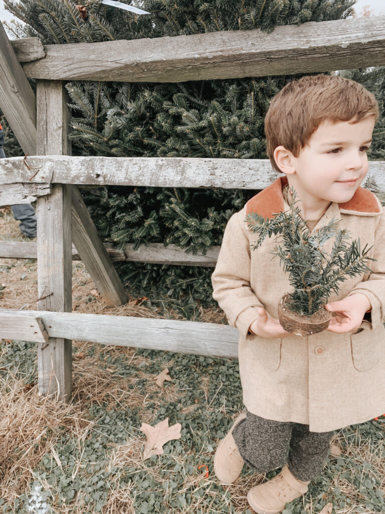 a morning at the tree farm - Olive June