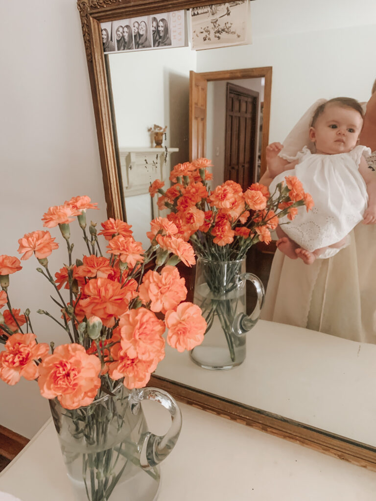 little daily glimpses - Olive June