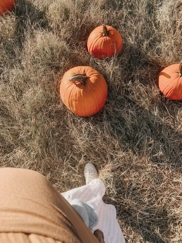 fall fun | an afternoon at the pumpkin patch - Olive June