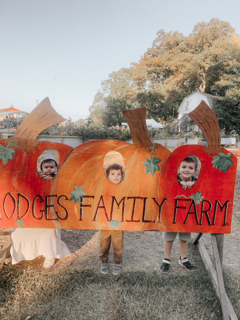 fall fun | an afternoon at the pumpkin patch - Olive June