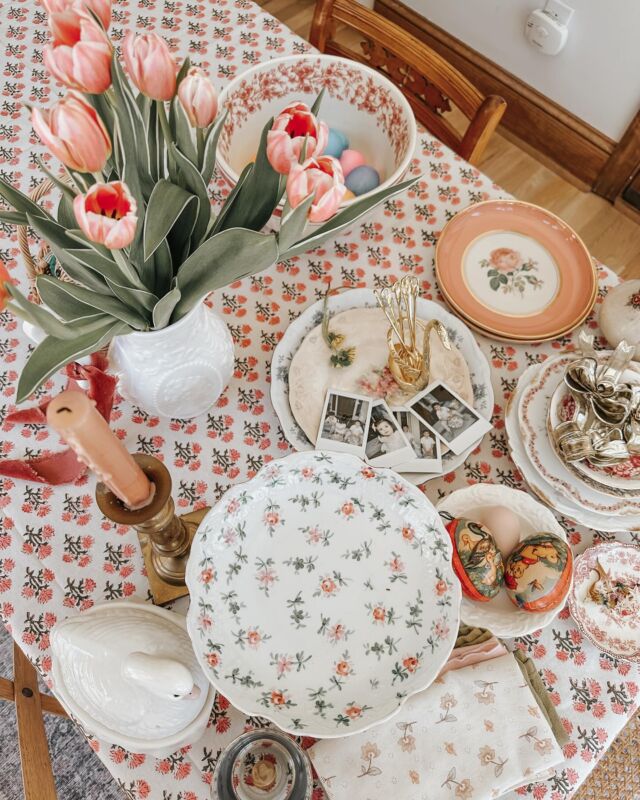 little daily glimpses - Olive June