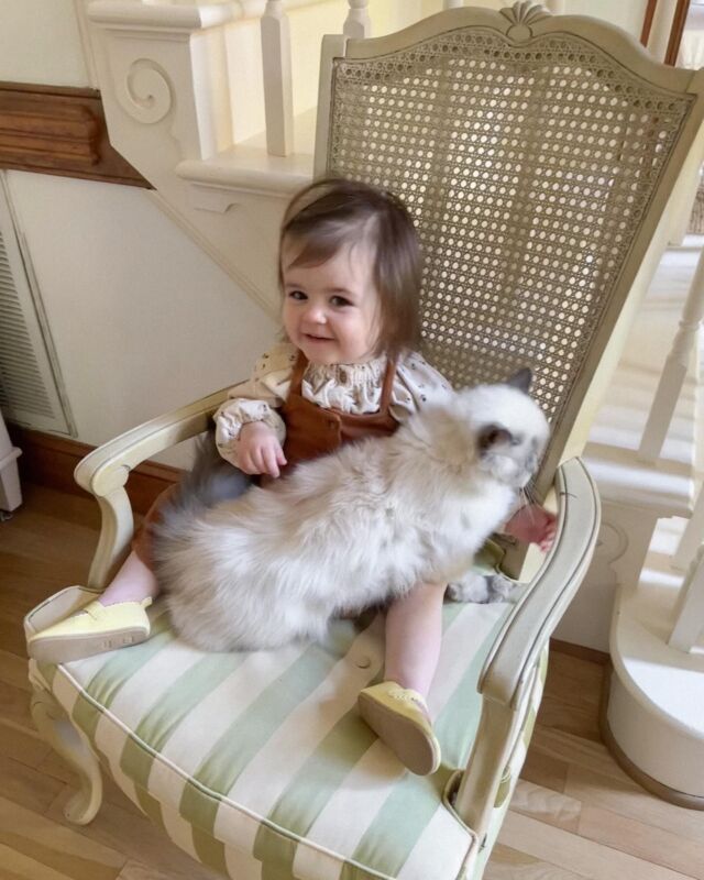 soul medicine during springtime days - Olive June