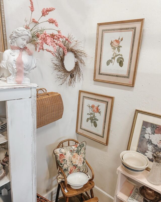 little daily glimpses - Olive June